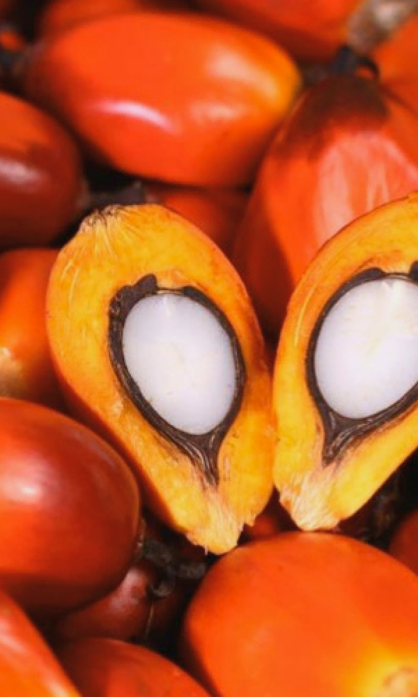 Our Products - Asian Palm Oil