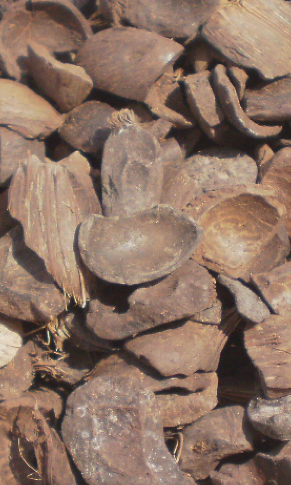 Our Products - Asian Palm Oil