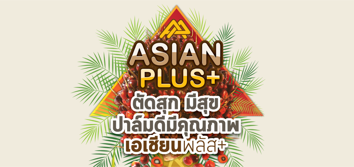 Asian Plus+ Project - Asian Palm Oil